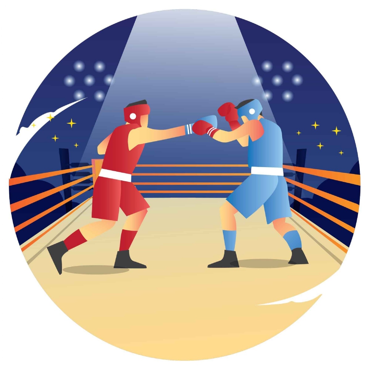 Colne Park High School - Boxing Success