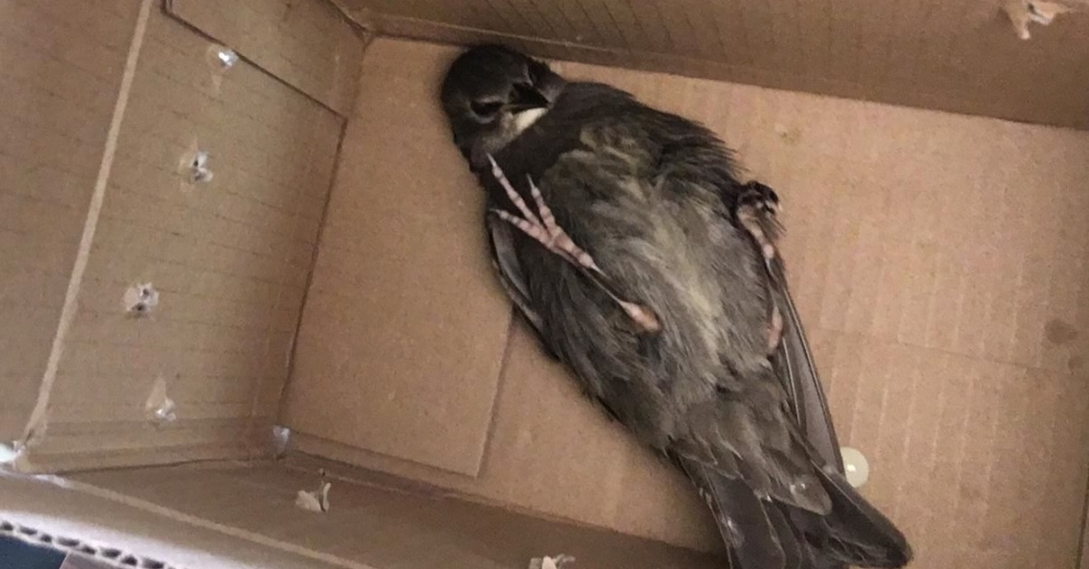 Colne Park High School - Headteacher's blog - It's the little things!