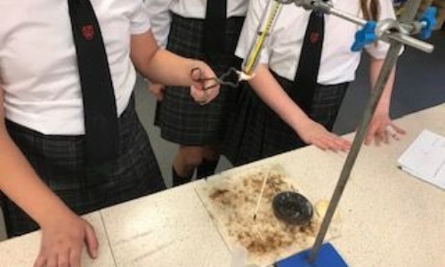 Colne Park High School - Year 7 Burning Crisp Challenge