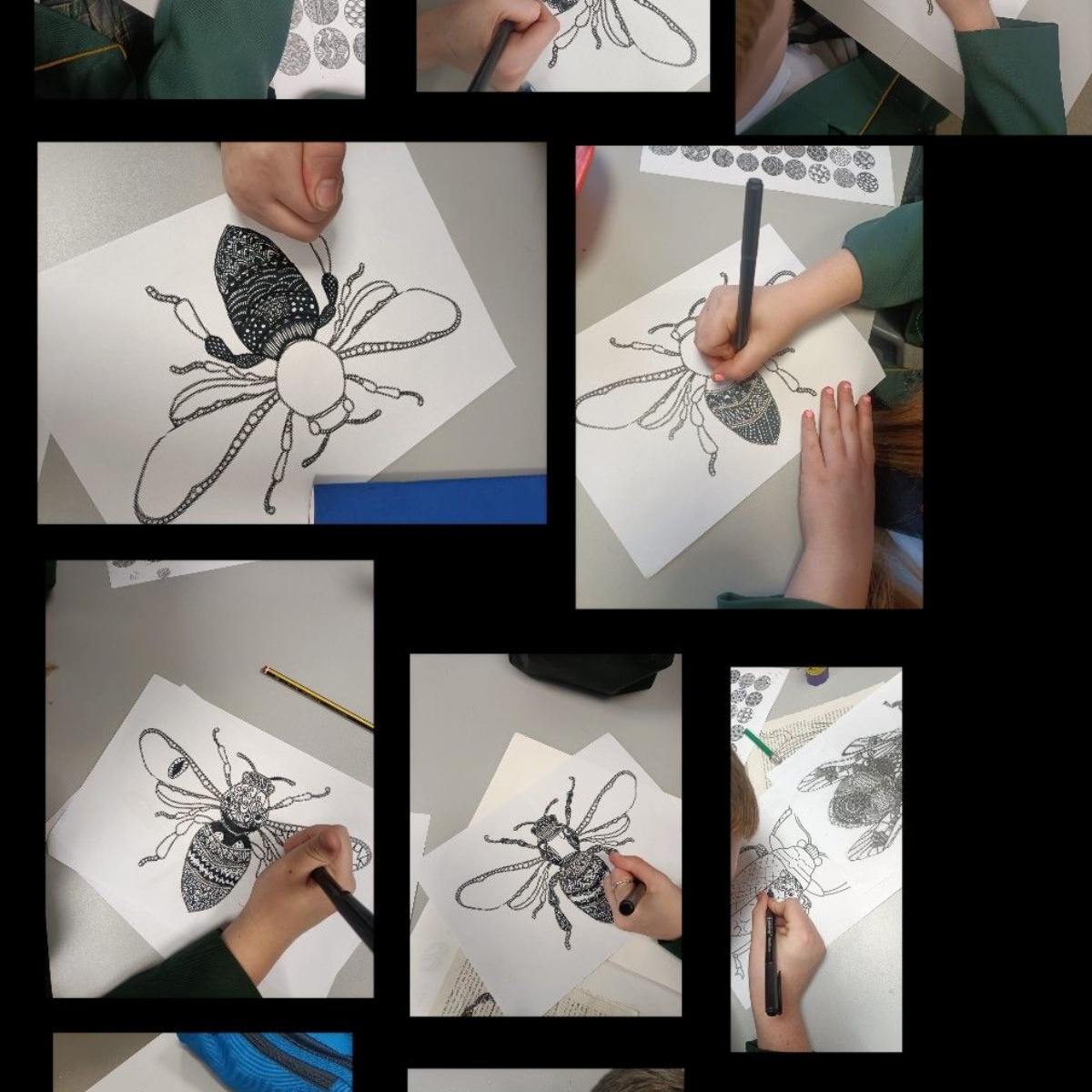 Colne Park High School - Y8 Zentangle Insects!