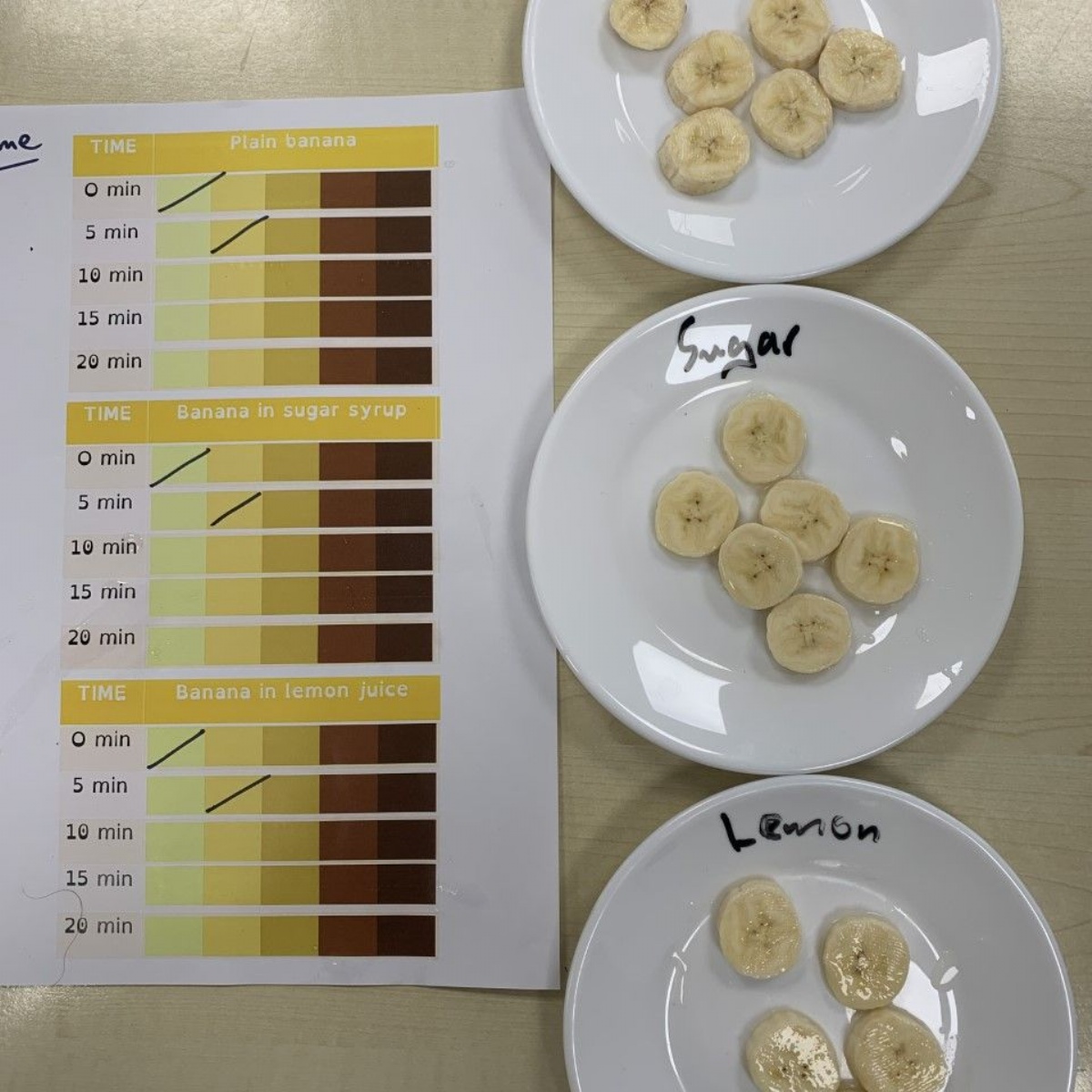Colne Park High School - Food Science