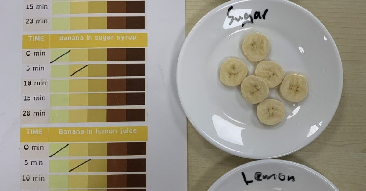 Colne Park High School - Food Science