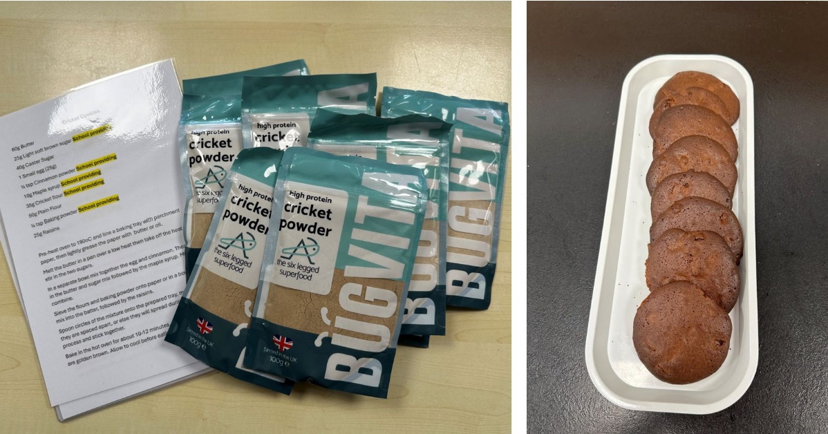 Colne Park High School - Cricket Cookies